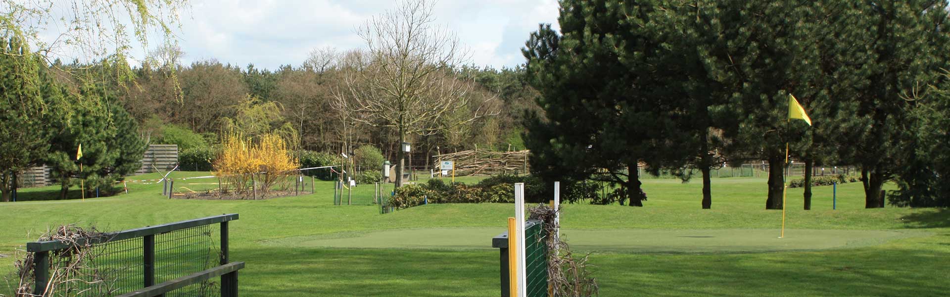 Pitch & Putt